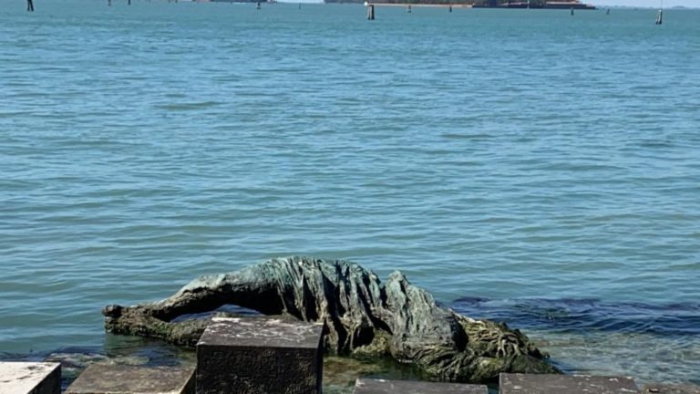 25 Aprile: la cerimonia davanti al Monumento alla Partigiana