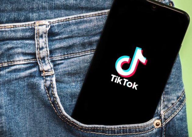 Tik Tok mette al bando le challenge pericolose - Metropolitano.it
