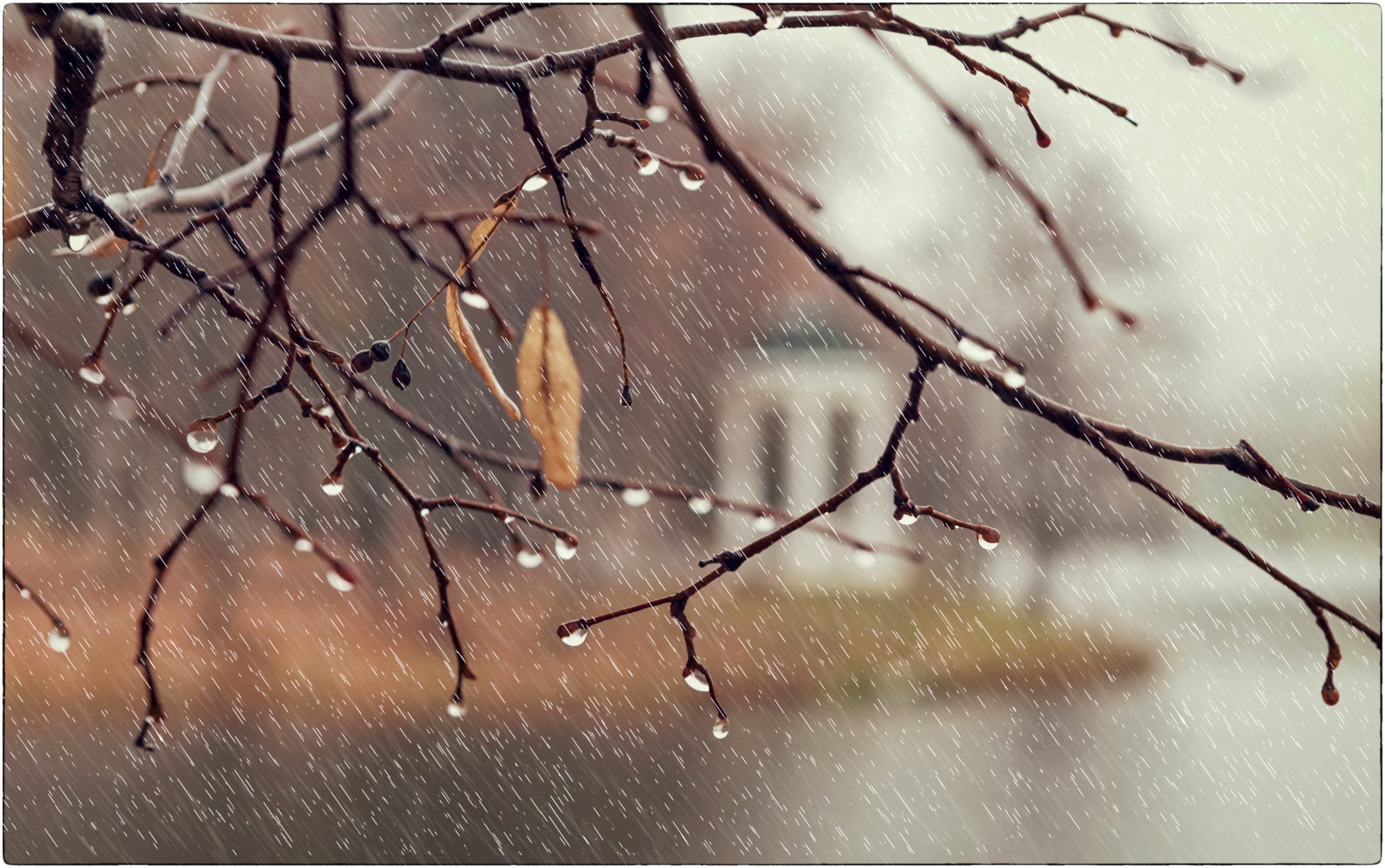 Autunno 2022: il ritorno delle stagioni - Metropolitano.it